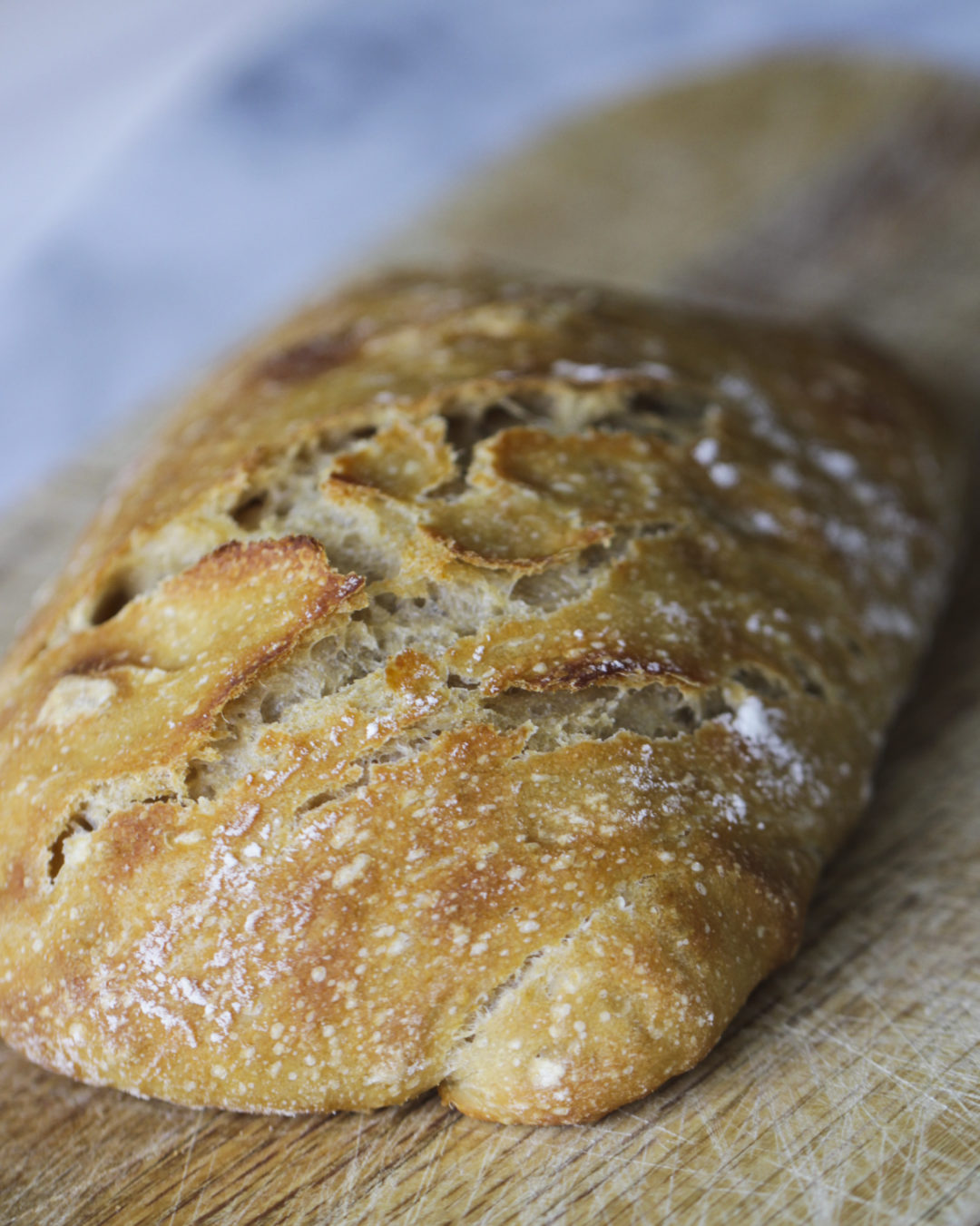 50% Whole Wheat Ciabatta - Ever Open Sauce