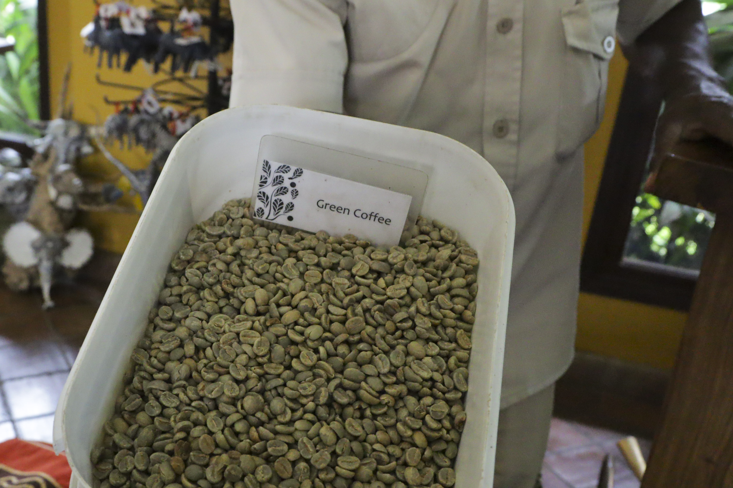 A Perfect Cup of Coffee from Fresh Roast on Safari - Ever Open Sauce