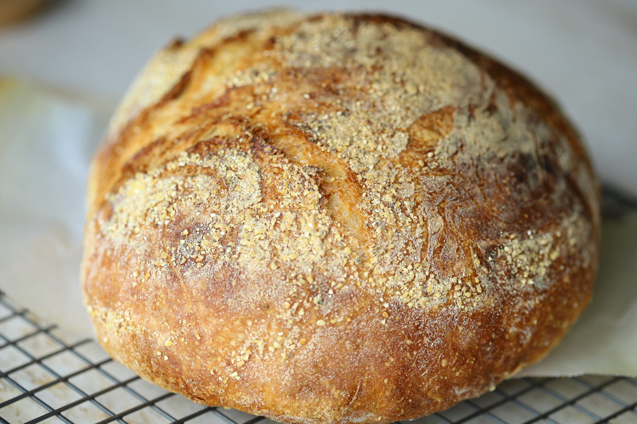 No-Knead Bread, Streamlined | Jim Lahey & Mark Bittman - Ever Open Sauce No-Knead Bread, Streamlined | Jim Lahey & Mark Bittman - Ever Open Sauce