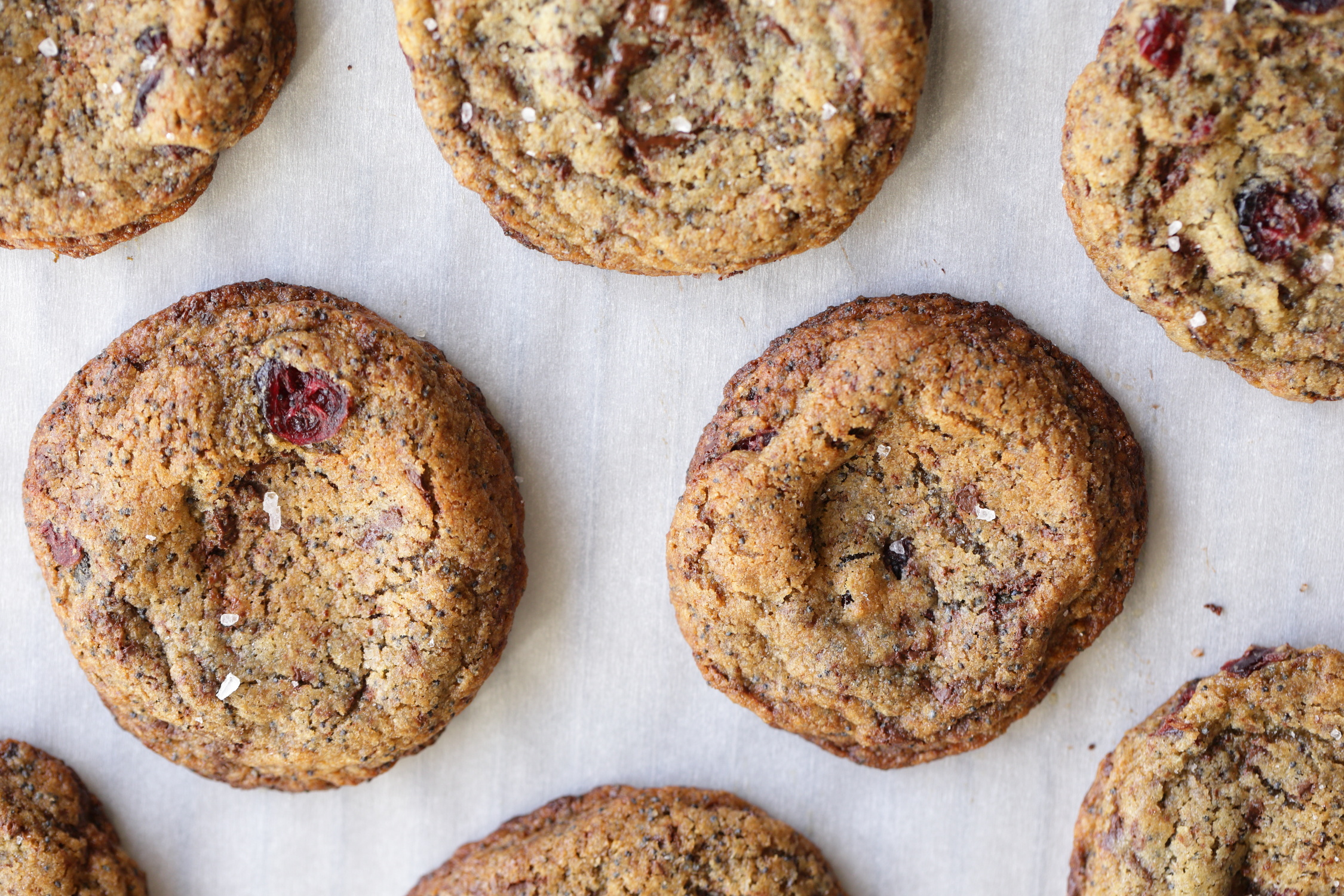 Mokonuts' Rye-Cranberry Chocolate Chunk Cookies | Baking with Dorie ...